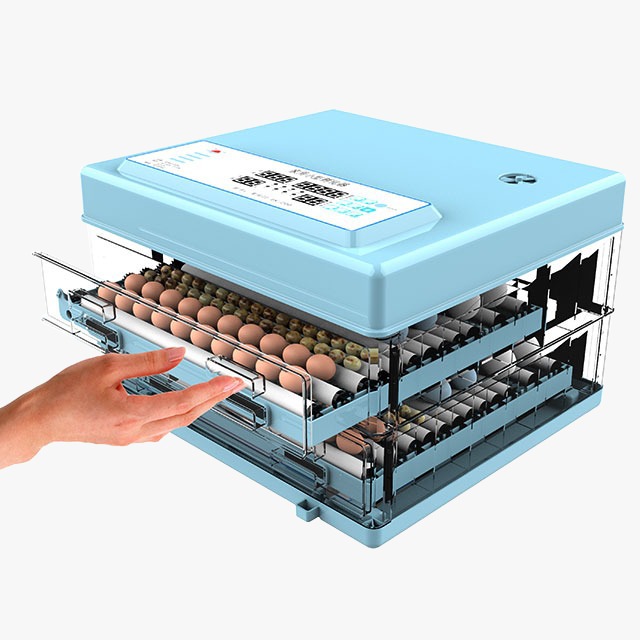 Incubadora 140 huevos Yiwan | Ave Express Ecuador